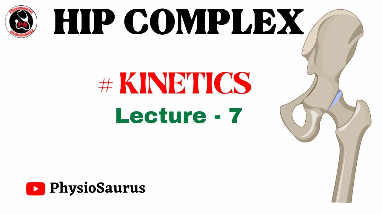 Hip complex | Kinetics | Muscles and lubricating structures - YouTube