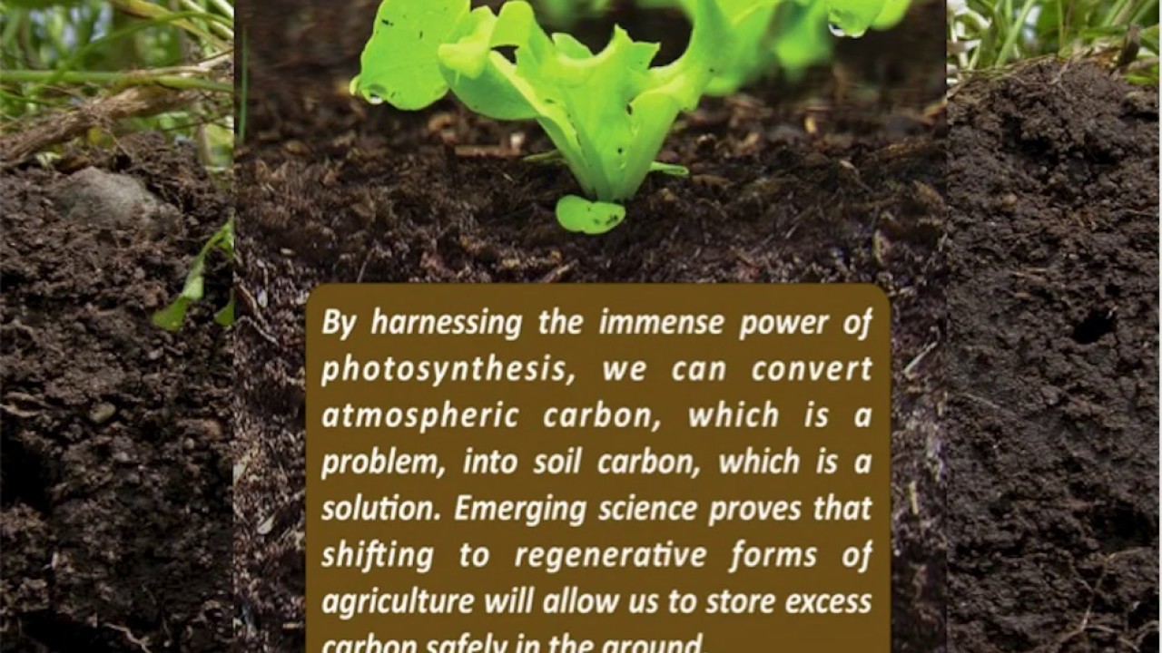 The Crocus: Global Complementary Currency Indexed to Living Matter ...