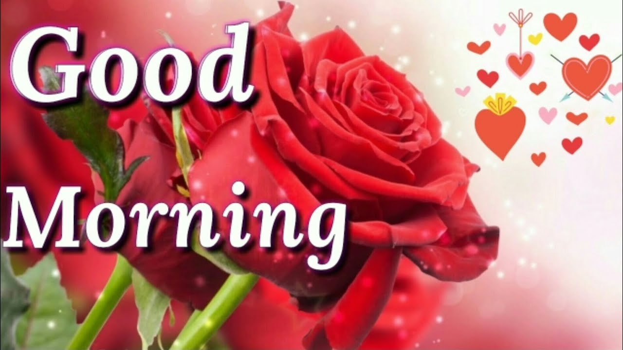 GOOD MORNING video - YouTube