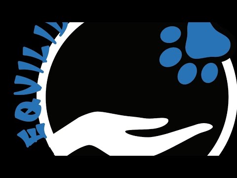Equilibrium Dogs - YouTube