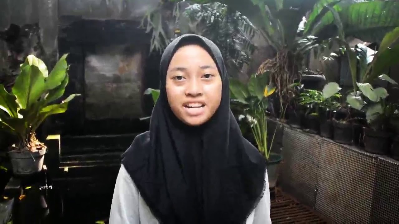 SMP YPI Bintaro: Prakarya kelas 7 smt 2, Budidaya Tanaman Obat (Menanam ...