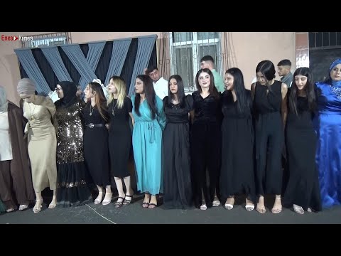 Tüm Zamanların En İyilerinden Şevko Halayı 2024 - Düğün - Hareketli Oyun Havaları - Koma Berçem