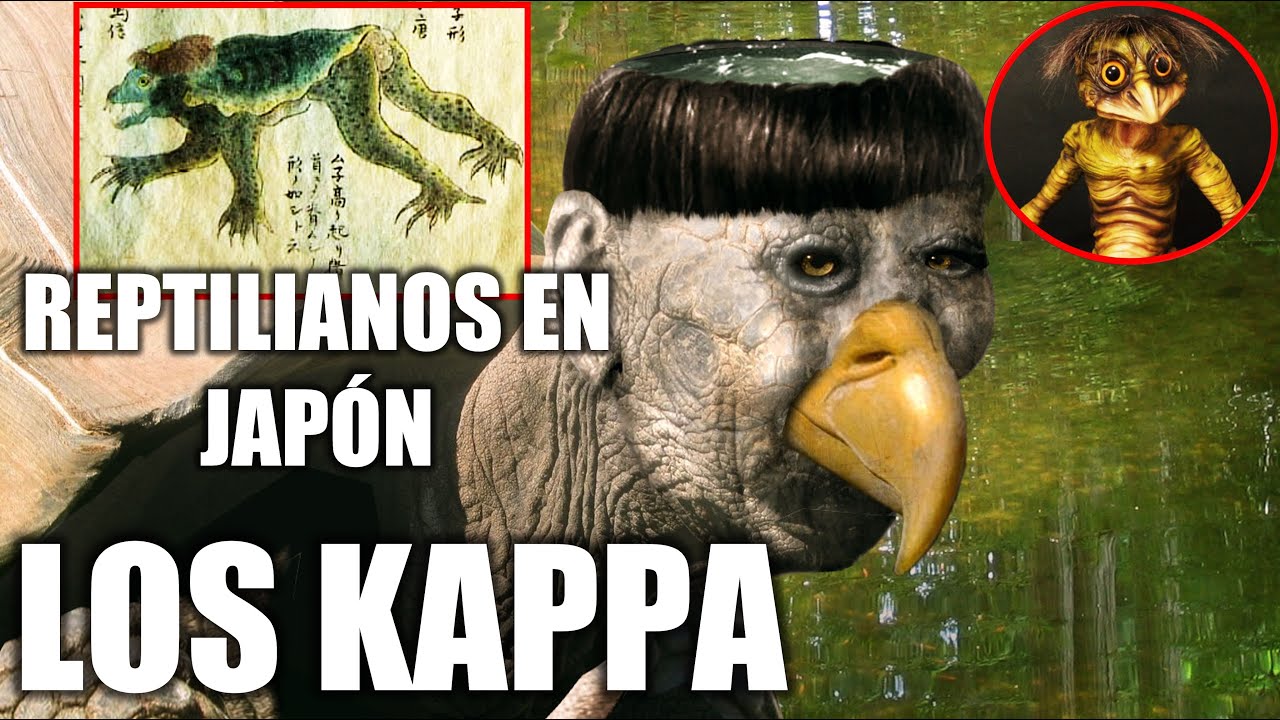 Pruebas y Relatos de la Existencia de los Kappa: Reptilianos en Japón ...