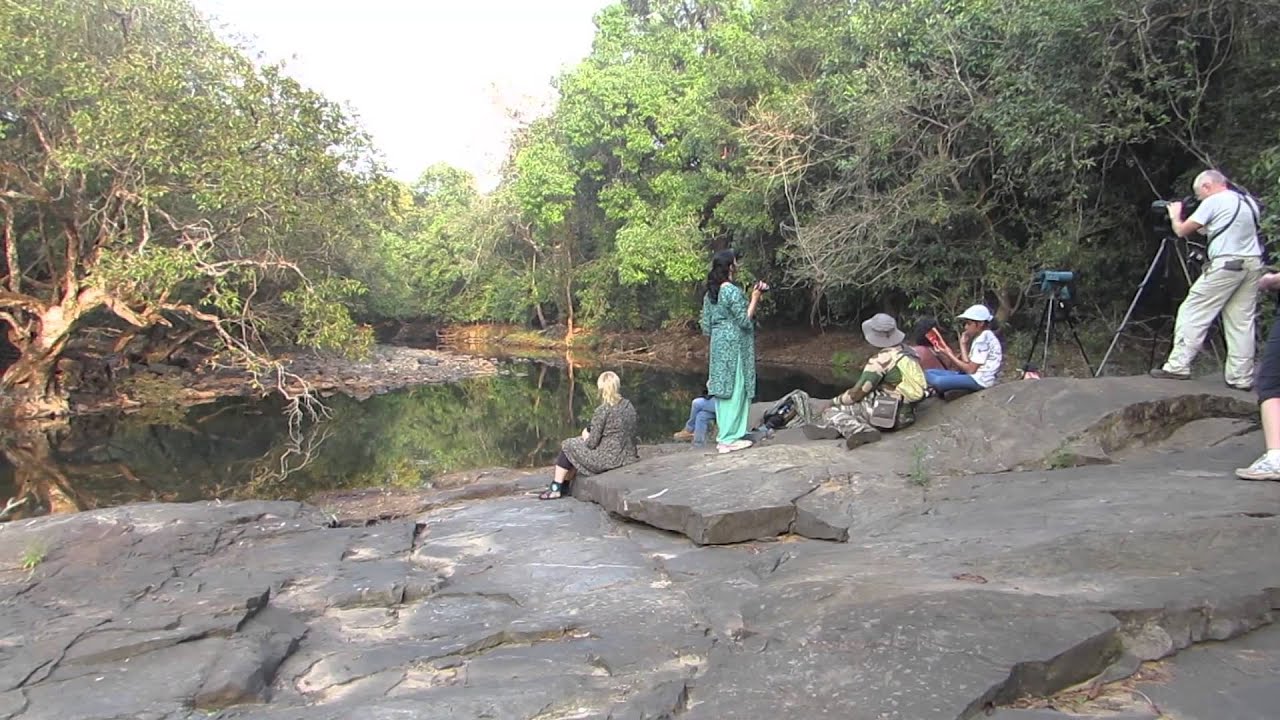 Backwoods Camp - YouTube