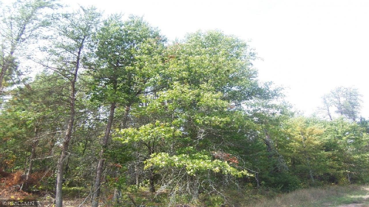Lot 10 Black Brook Road, Webster, WI Presented by Deb Hitchcock-Gale ...