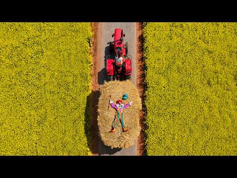 Berger Paints | Rang Bana Rahe | Corporate Film