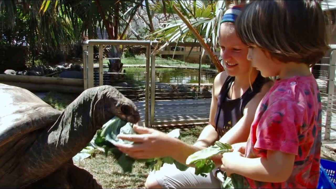 Titou l'Explorateur - Des vidéos pour les enfants curieux - #1 : "Titou ...