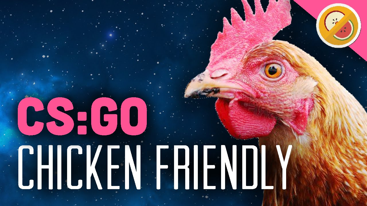 Chicken Friendly : Counter Strike Global Offensive Funny Moments (CS GO ...