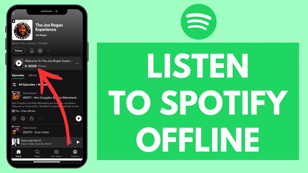 How to Listen to Spotify Offline 2024 | (Quick & Easy!) - YouTube