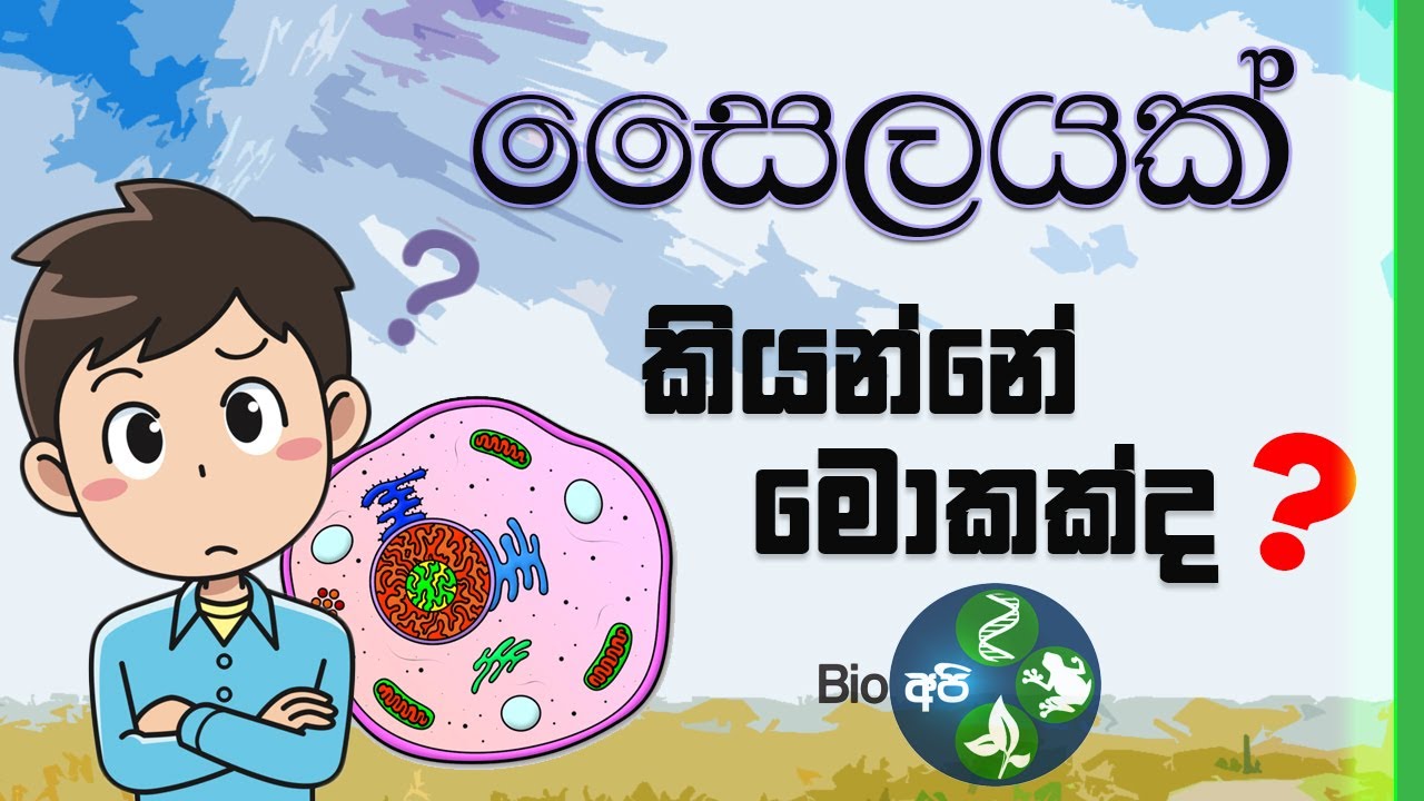 What is a cell - Biology Sinhala Lessons - Science - Cell - bio api - A ...