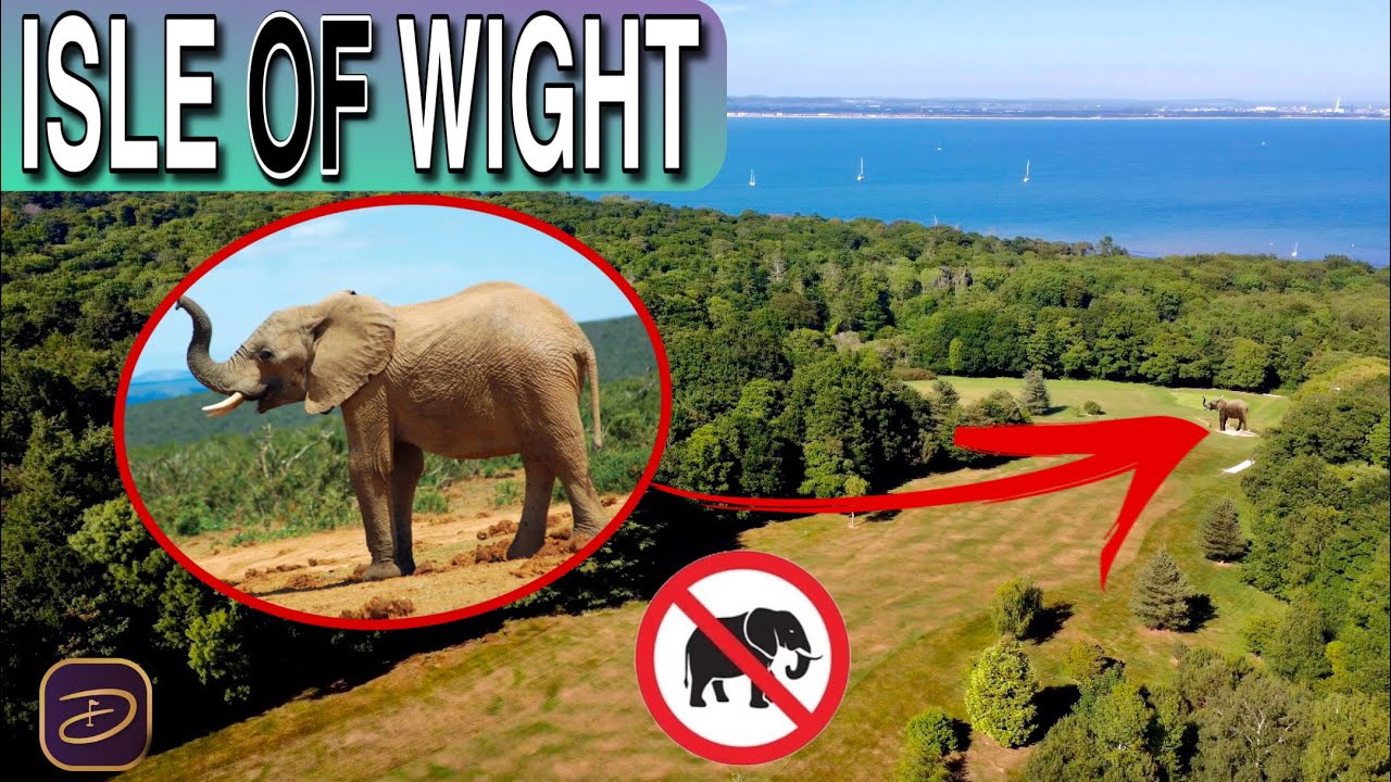 ELEPHANTS on a GOLF COURSE | The Isle of Wight - YouTube