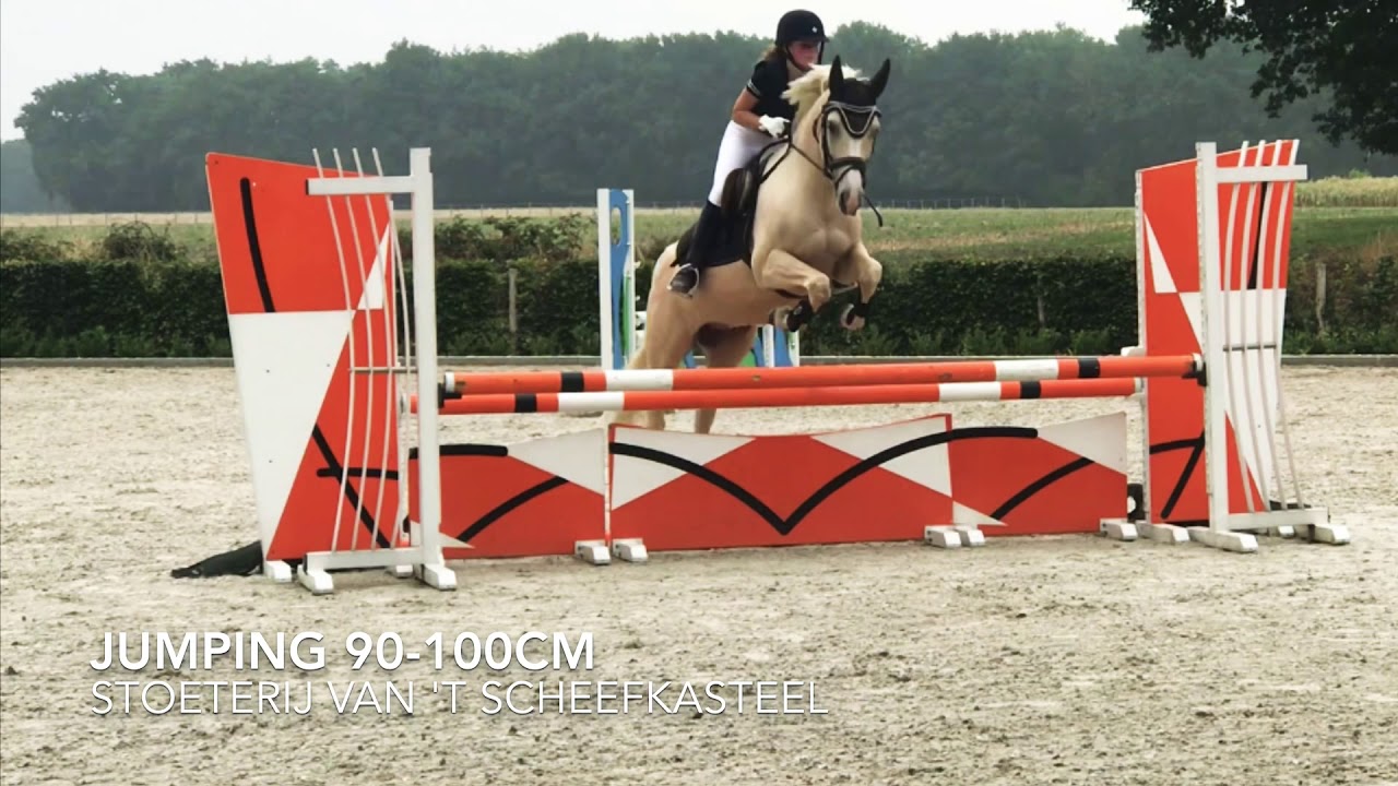 Jumping 90cm-1m course - YouTube