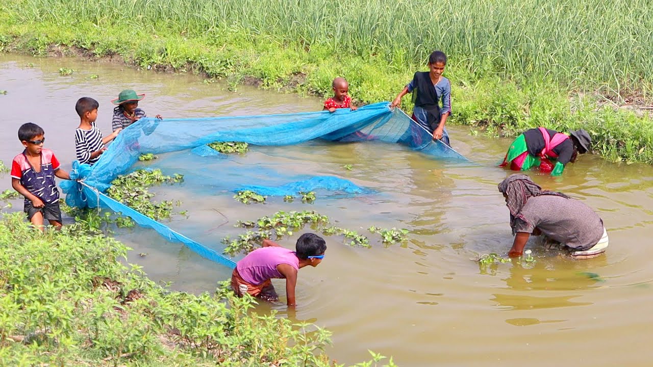 Amazing Net Fishing Video - Village People Catching Fish By Net in ...