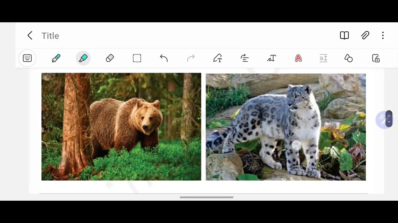 Biologiya. Zoologiya 7- sinf 1-dars. Sodda hayvonlar. - YouTube