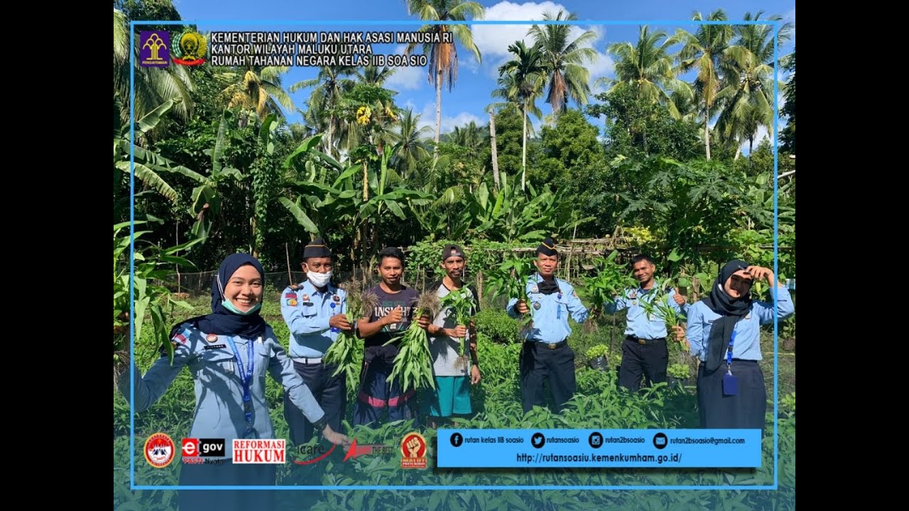 Rutan Kelas IIB Soasio Panen Hasil Kebun Warga Binaan Pemasyarakatan ...