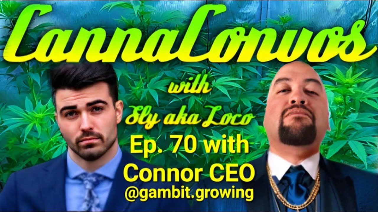 CannaConvos with Connor the CEO of Gambit Growing - YouTube