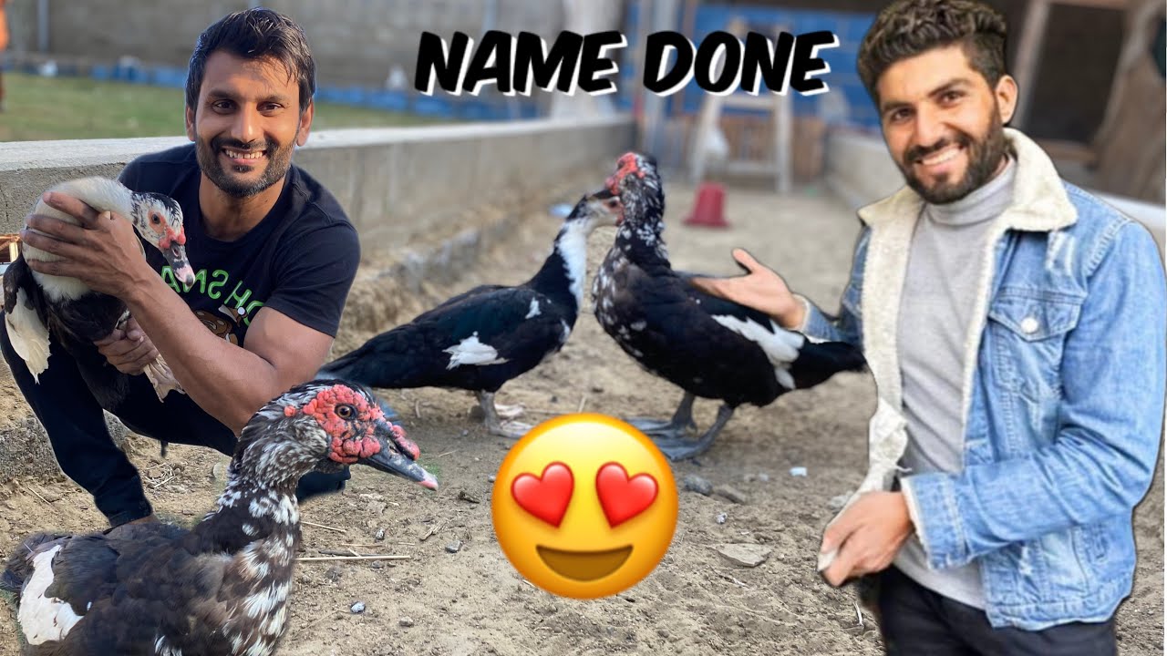 Samad Wali Ducks Ka Naam Rakh Diya😊 - YouTube