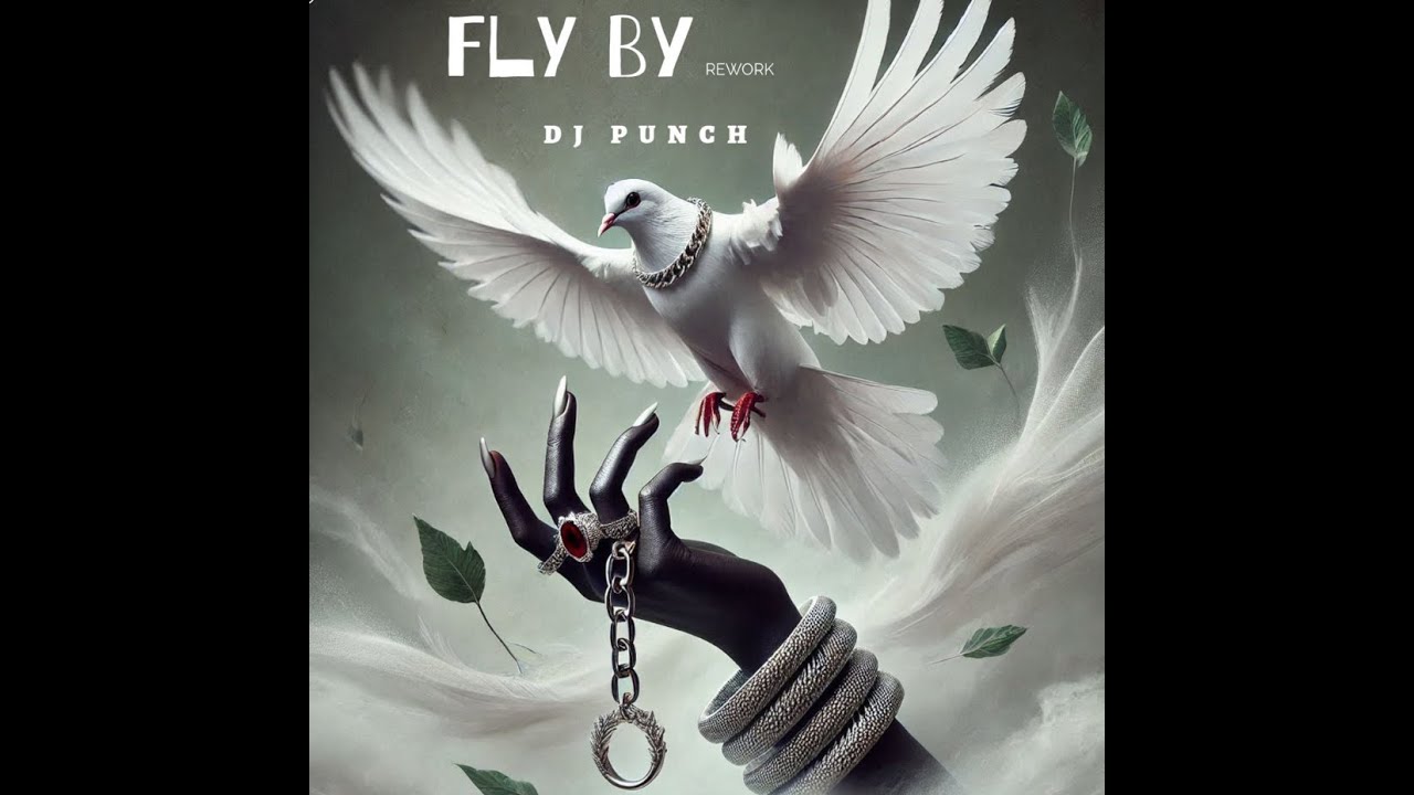 Fly, Tony Momrelle (DJ PUNCH Baby Powder House Mix ) - YouTube
