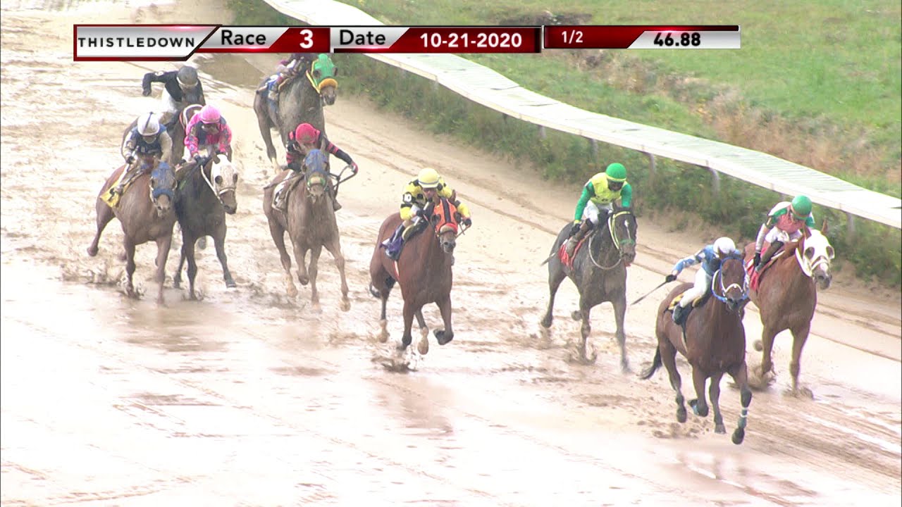 Thistledown Race: #3 2020/10/21 - YouTube