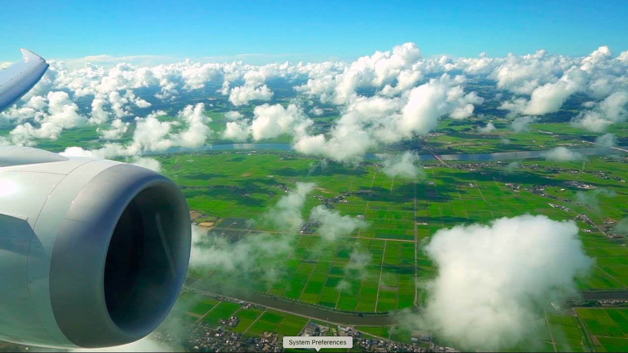 Stunning JAL Boeing 787 Dreamliner landing in Tokyo (Narita)! - YouTube