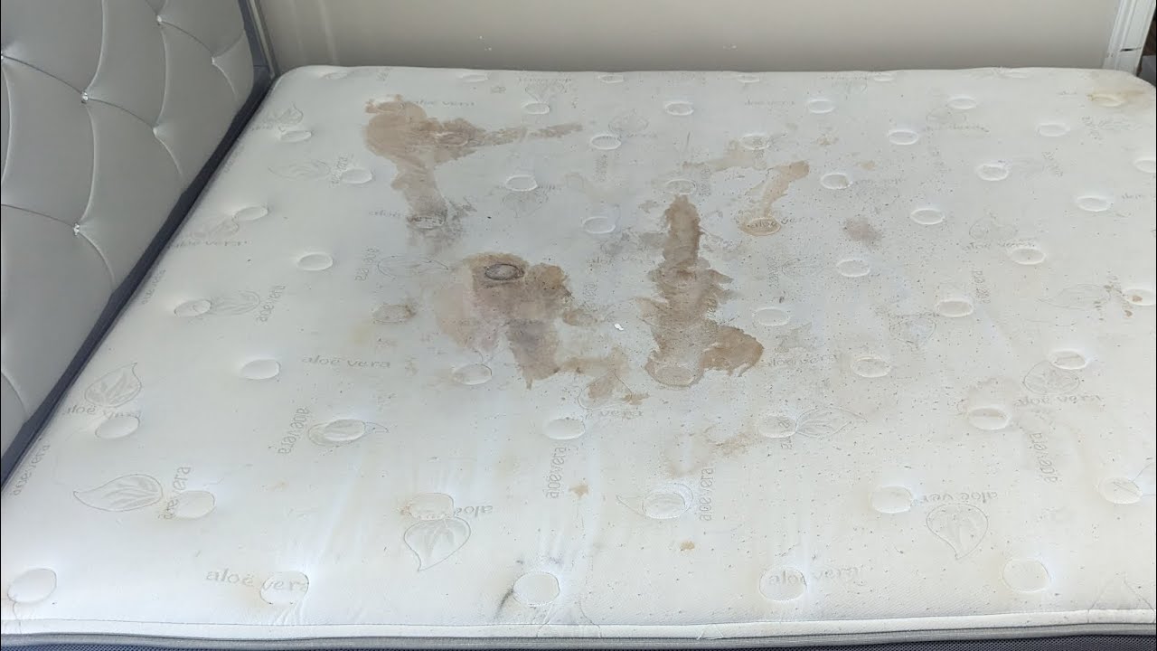 Steam cleaning an extremely dirty mattress - The before & after is ...