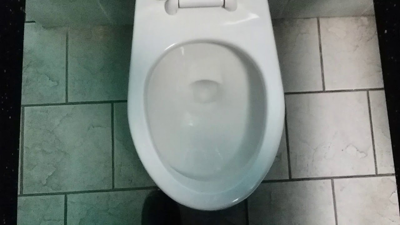 Eljer Toilet at SeaWorld San Antonio - YouTube