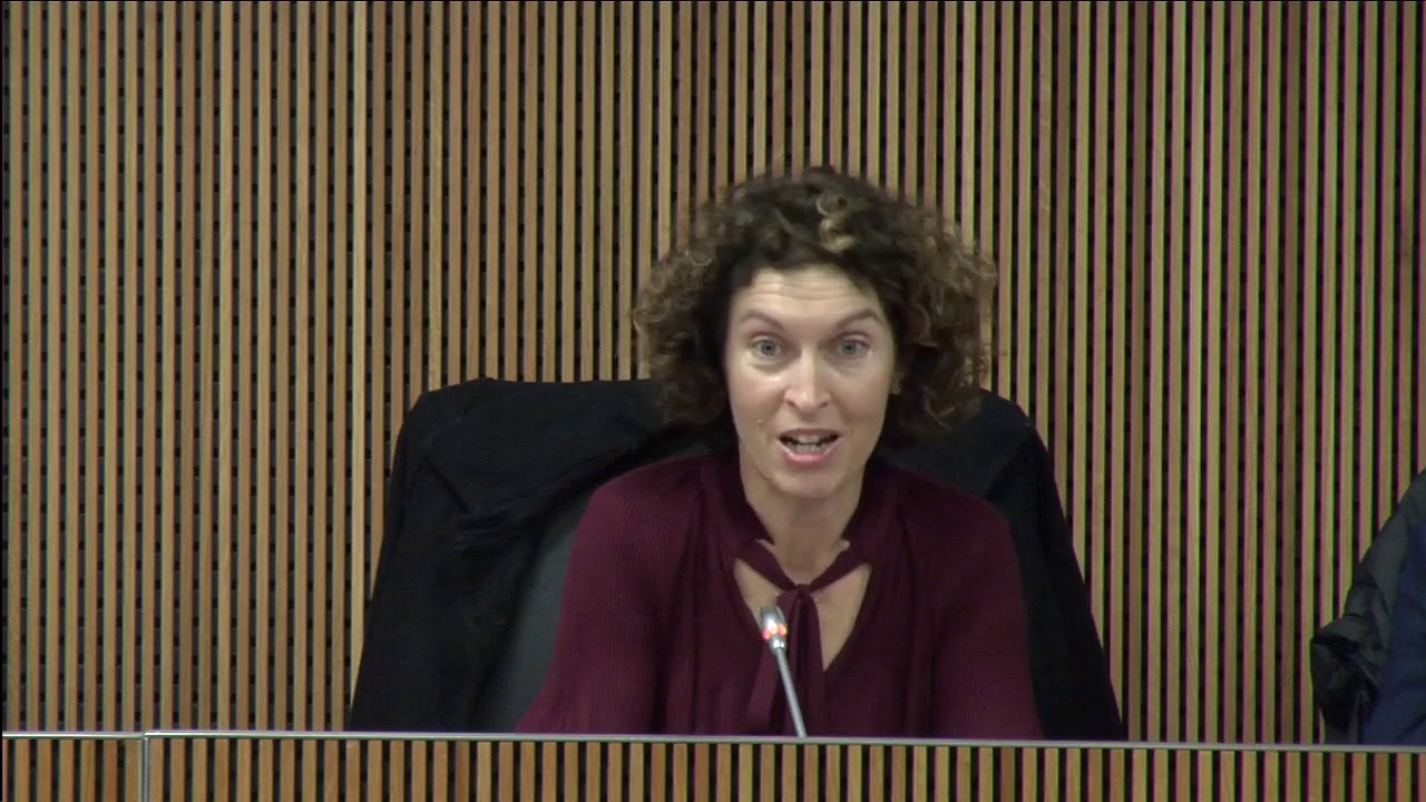 Intervenció de Mònica Bonell durant la compareixença de la ministra d ...