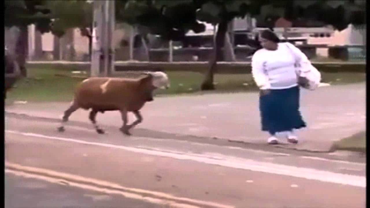 La cabra loca - YouTube