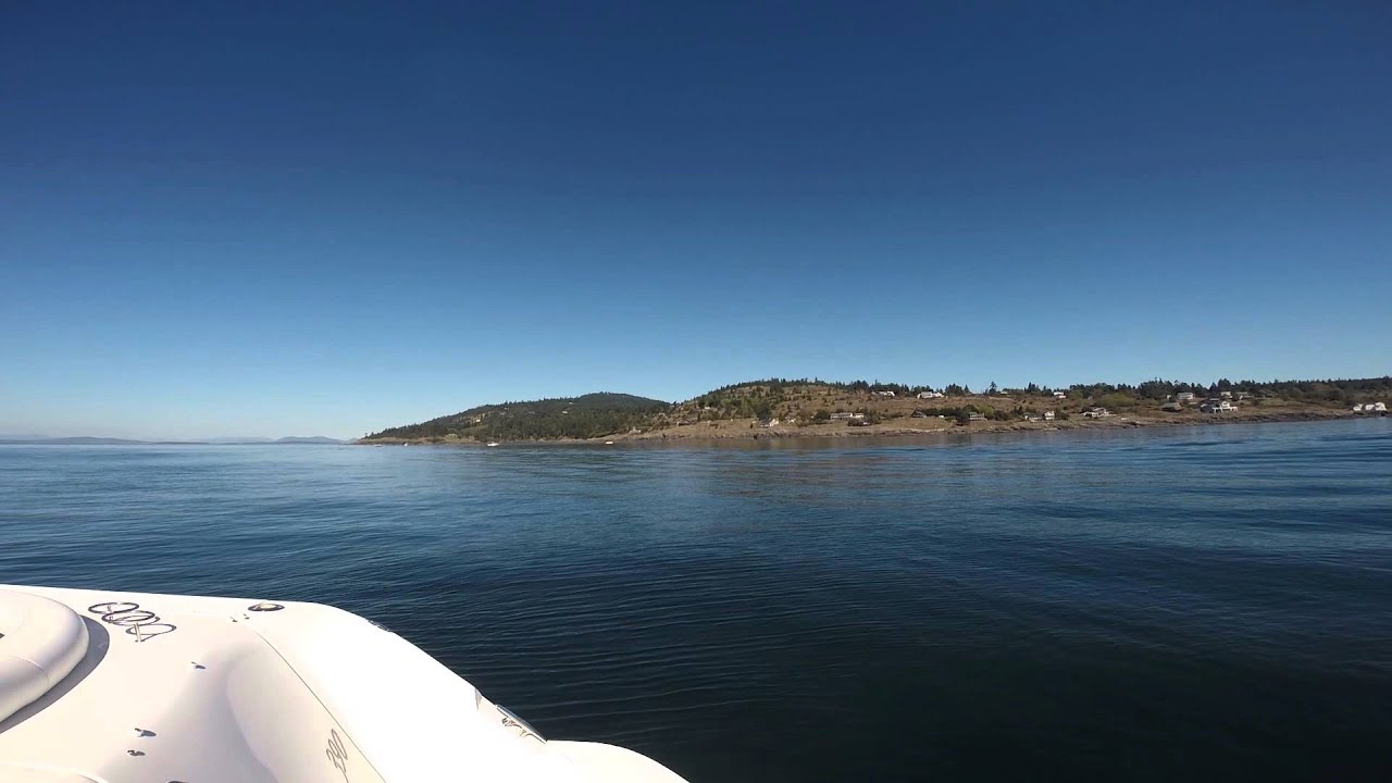 Orca pass at San Juan Island - YouTube