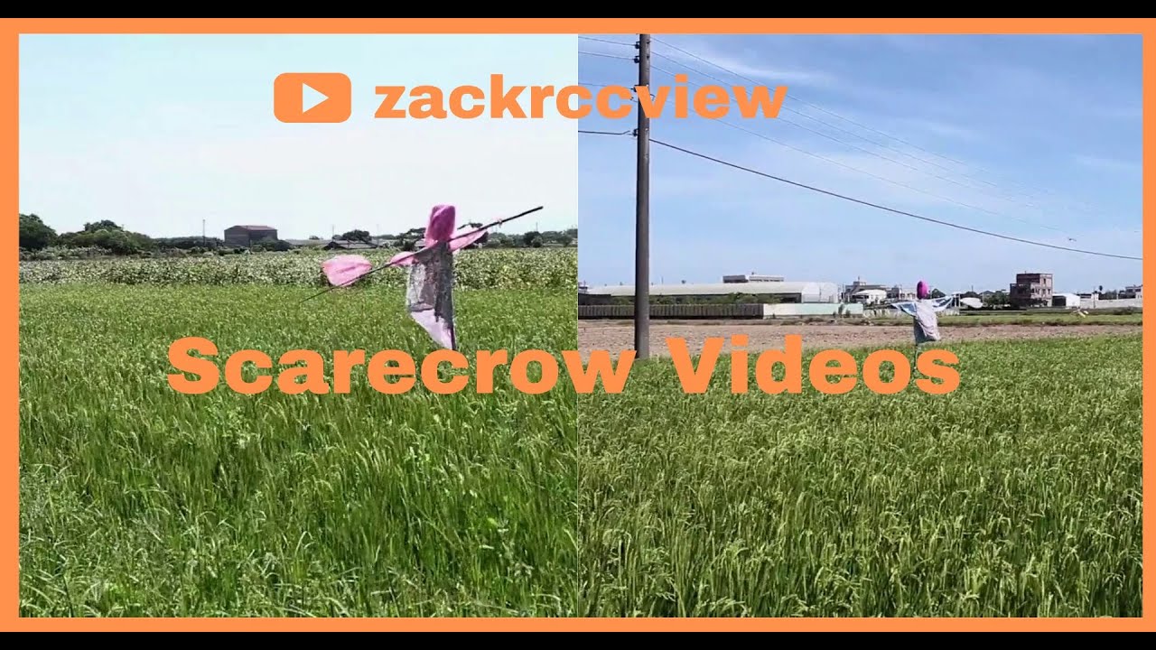 Scarecrow | Scarecrow Videos | Halloween | Zack - YouTube