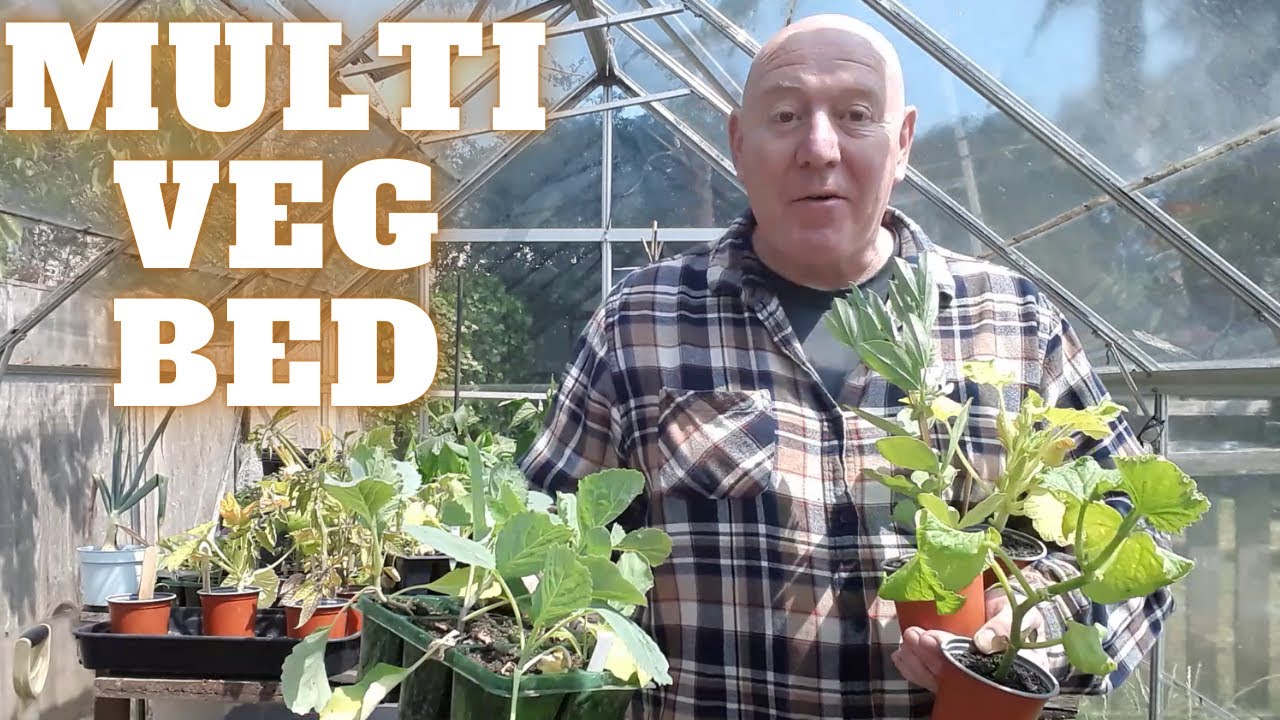 Multi Vegetable Bed [Gardening Allotment UK] [Grow Vegetables At Home ...
