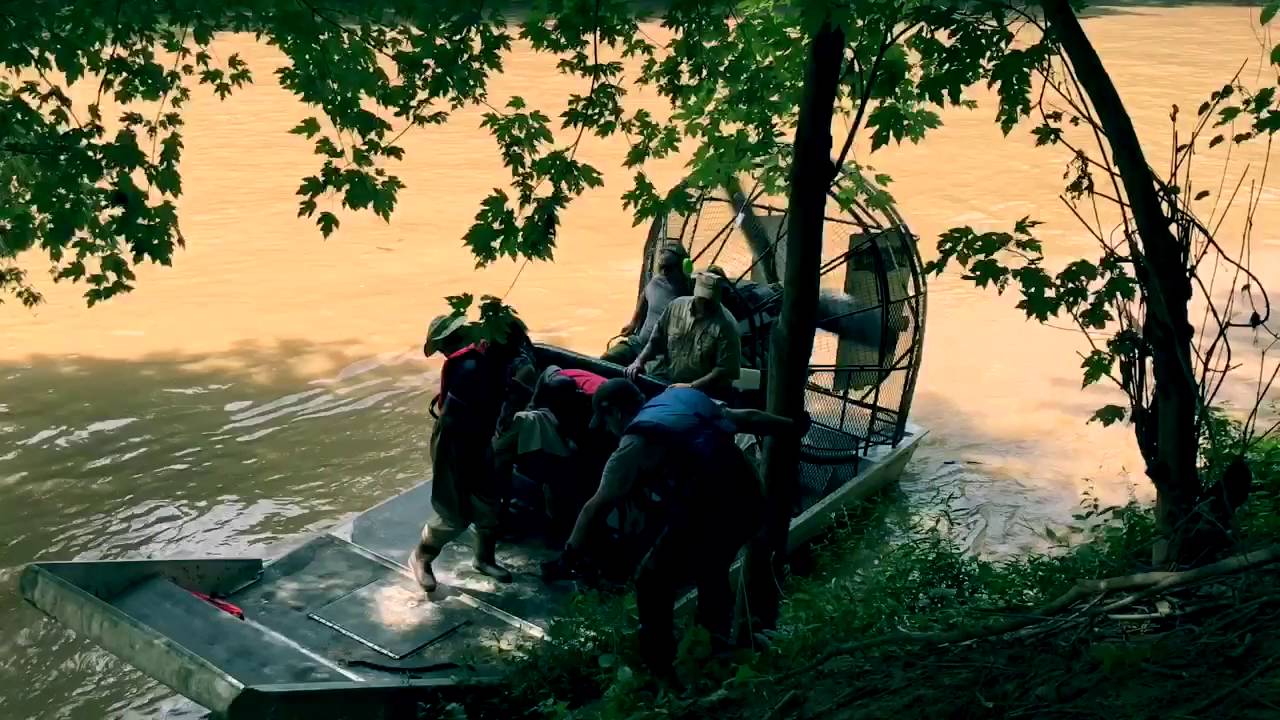 South Fork Obion River - Water Level Logger Installation - YouTube