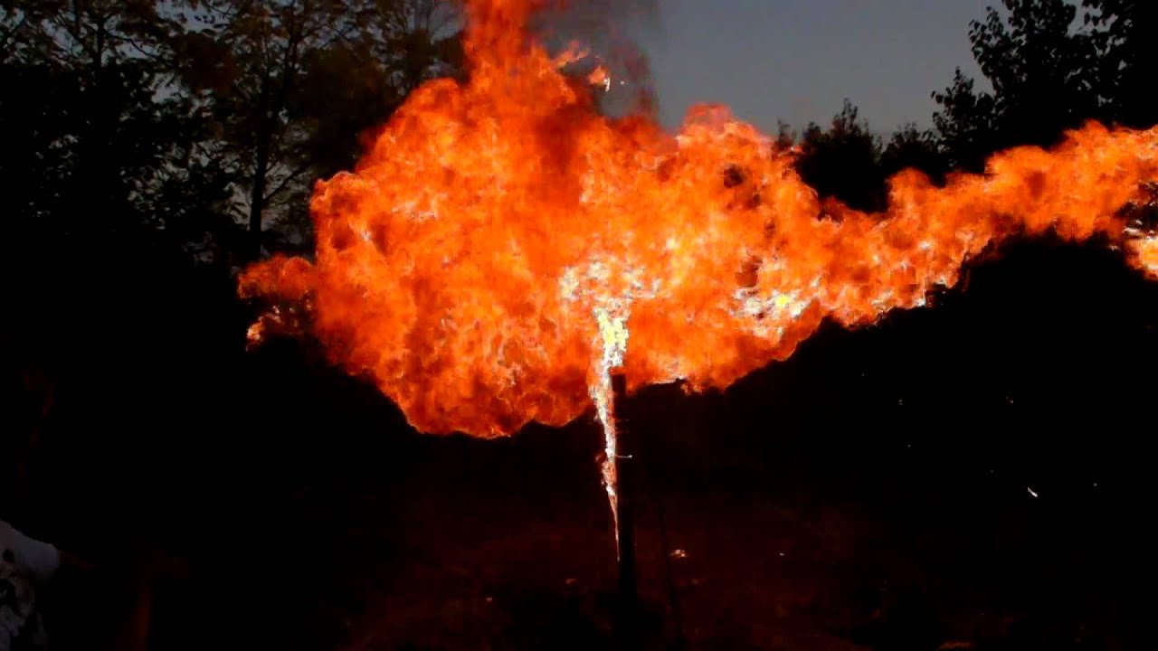 Shotgun + Gas + Tree = Awesome Tree Blaze - YouTube