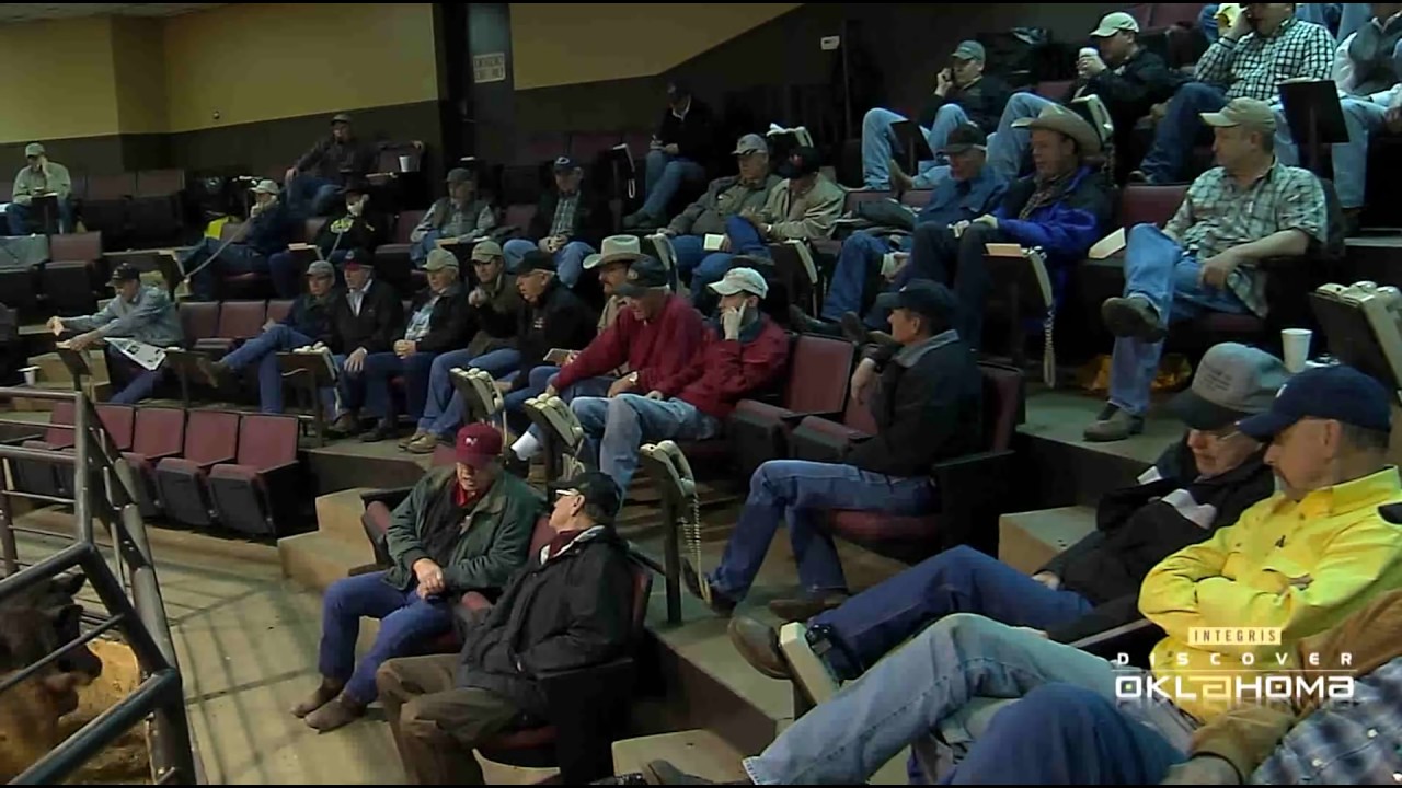 Oklahoma National Stockyards - YouTube
