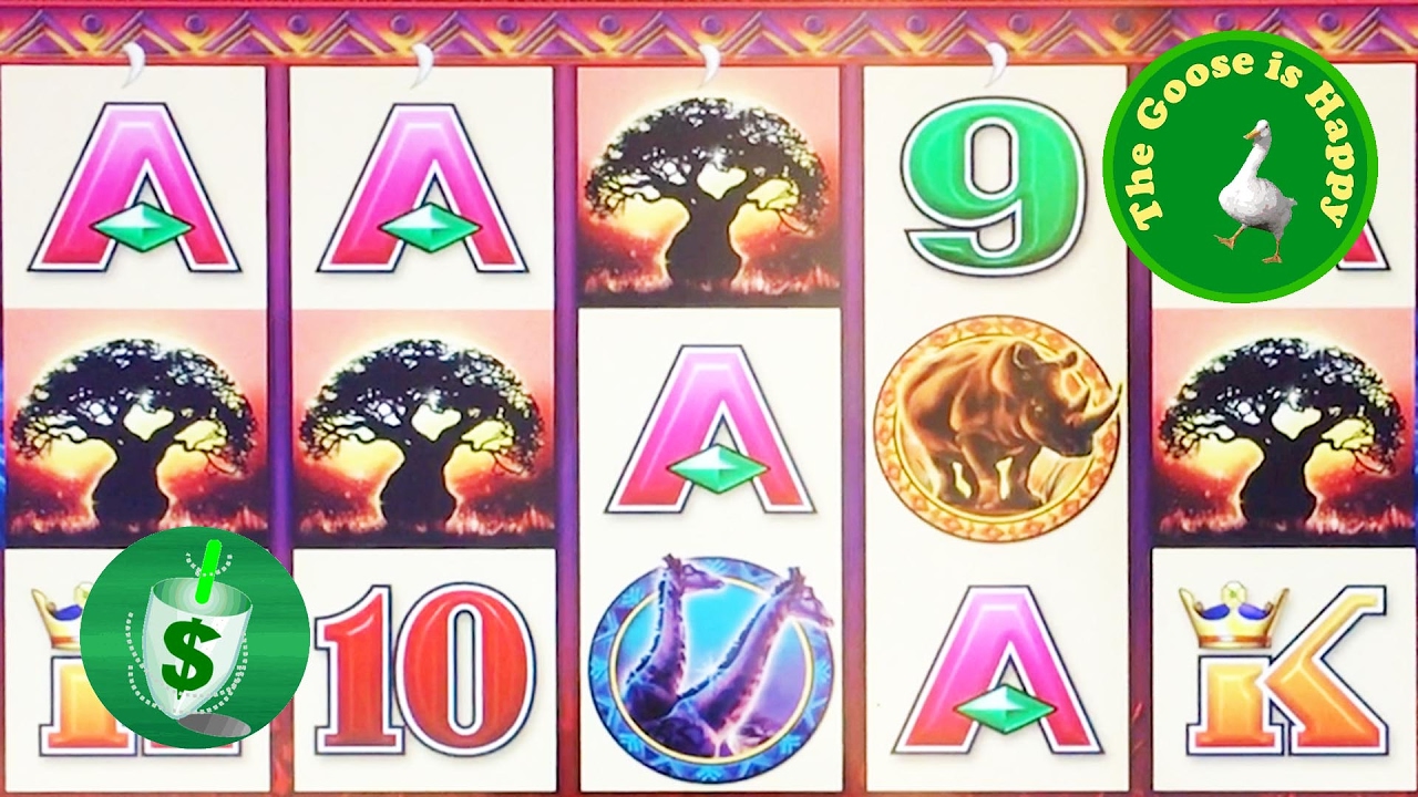 African Storm slot machine, Happy Goose 😄 - YouTube