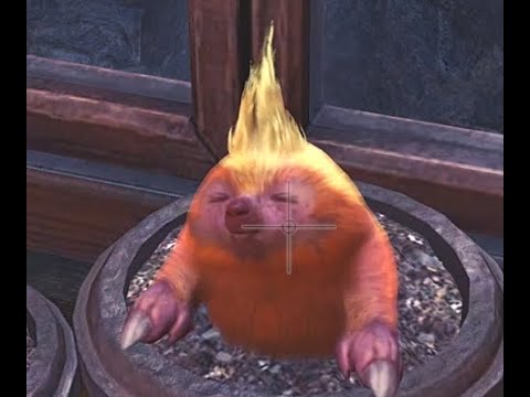 Monster Hunter World how to catch a moly Guide #monsterhunter #mhw # ...