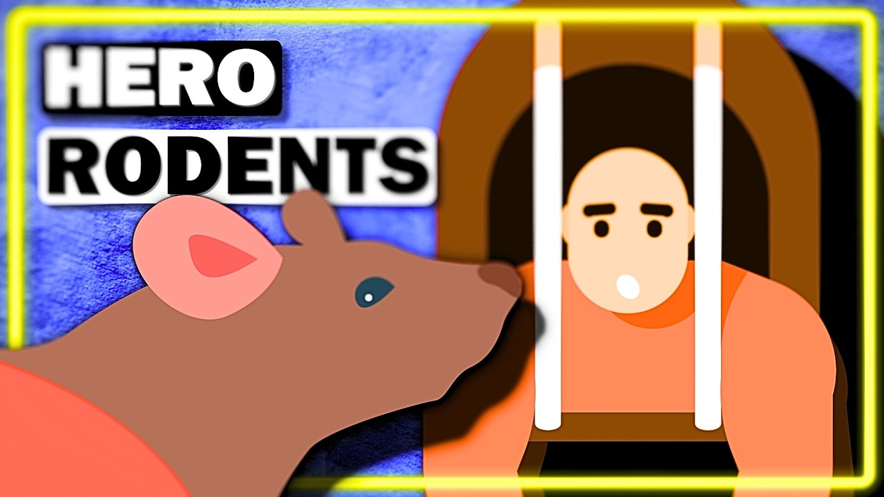 How are RATS fighting crime? | Unknown RAT FACTS - YouTube