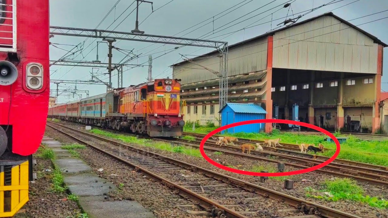 Ratnagiri Railway Station 22630 TEN DR Express TEN DR Konkan Railway ...