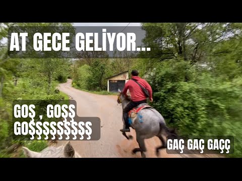 AT GECE GELİYOR , GOŞ GOŞ GOŞ , GAÇ GAÇ :)