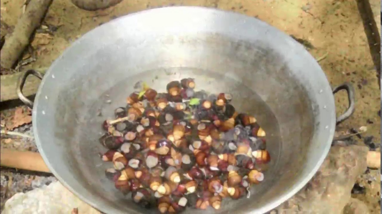 TAKLONG (EXOTIC FILIPINO FOOD) - YouTube