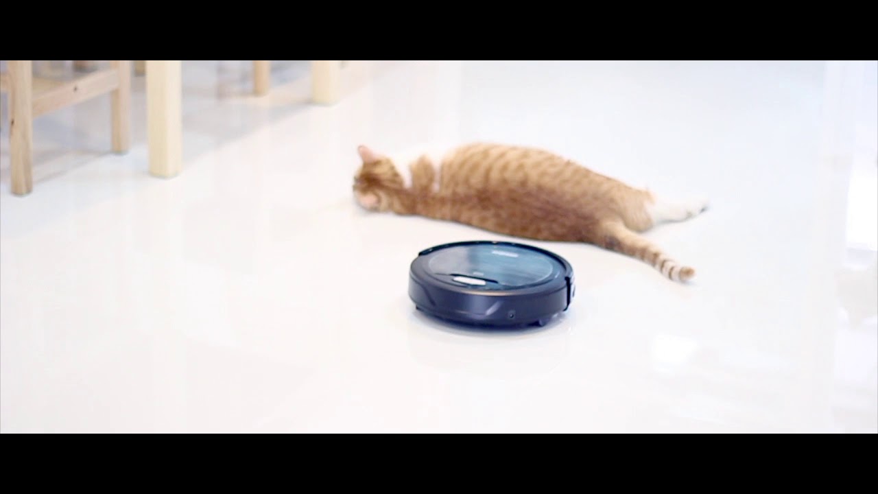 หมูแดง แมวอินดี้ - Review Mini Robot เครื่องดูดฝุ่น HOMIE by Mister ...