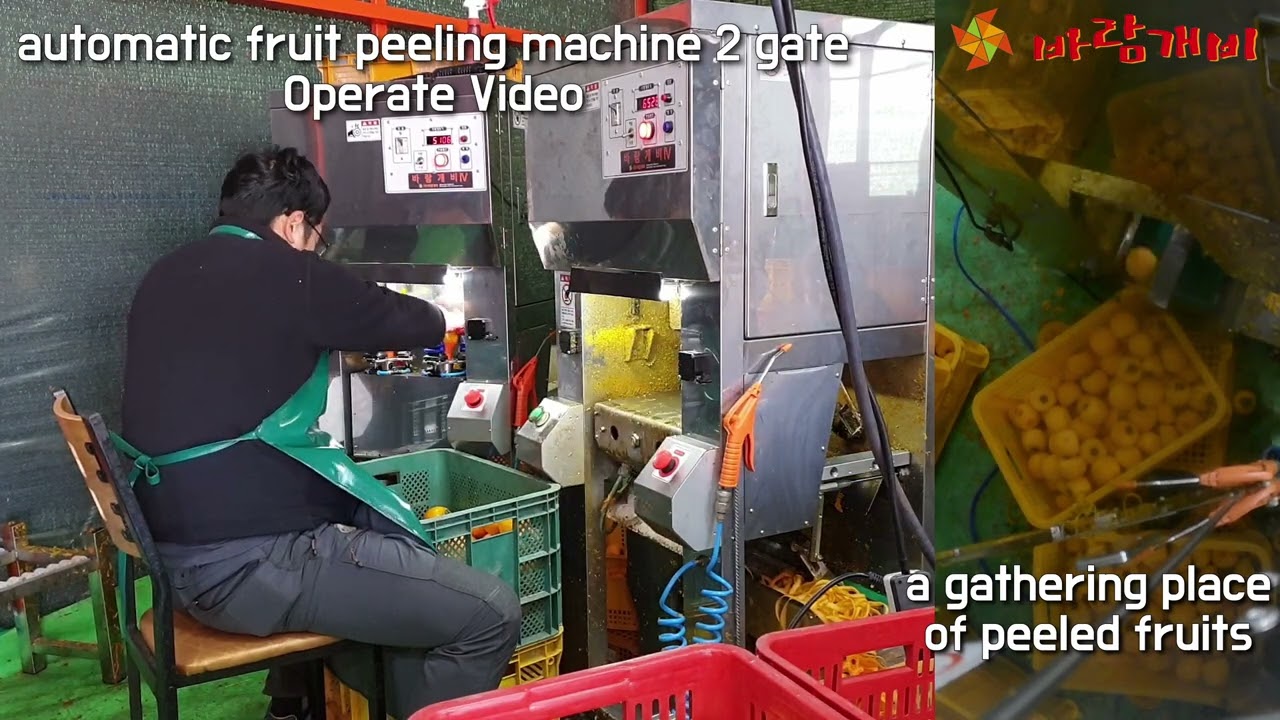 automatic fruit peeling machine 2 gate operate Video - Baramgaebi Co., Ltd. - YouTube