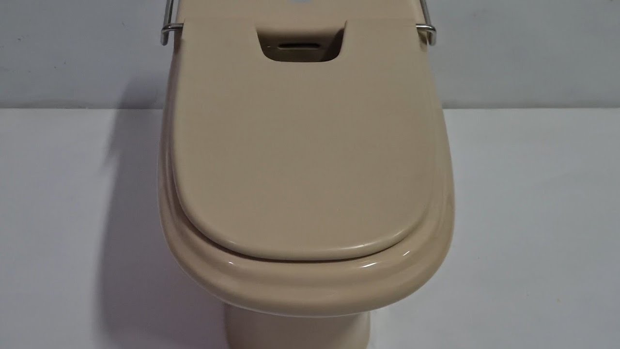 Bidet Roca modello Dama retrò colore visone / bagno - YouTube