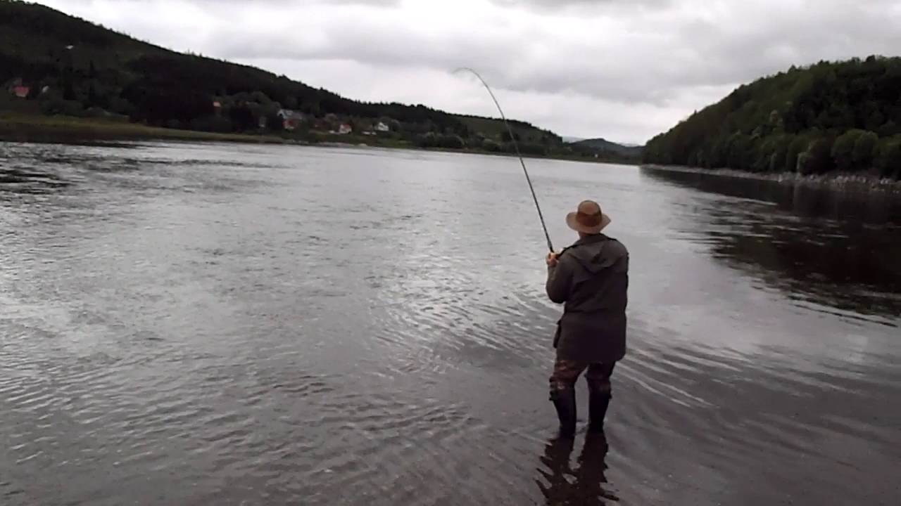 frede frank og knud på namsen - YouTube
