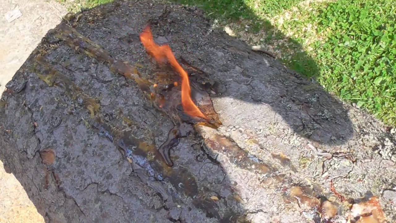 Wood Resin is FLAMMABLE - YouTube