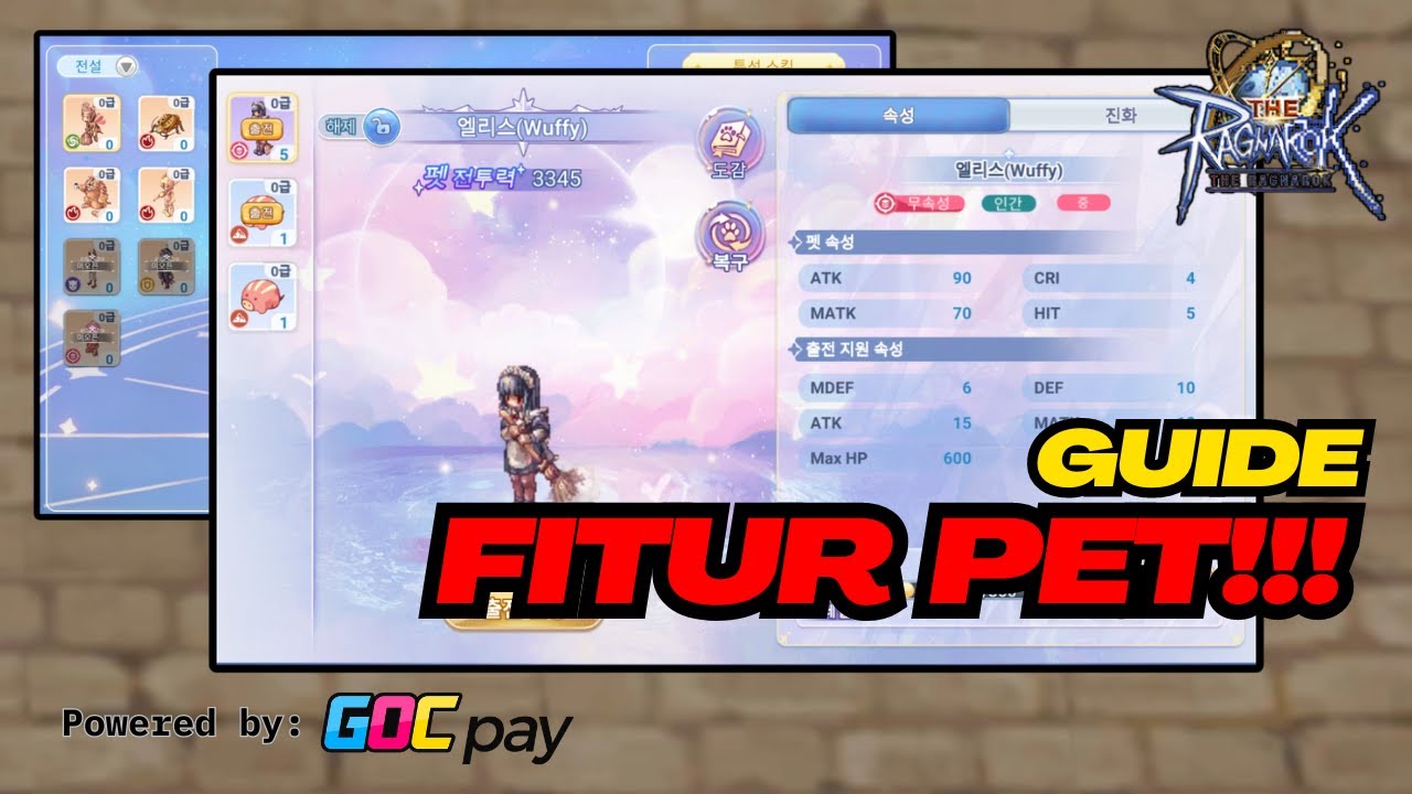 GUIDE FITUR PET DI LVL 55 ‼ BAGAIMANA CARA KERJANYA DAN SEPENTING APA ⁉ ...