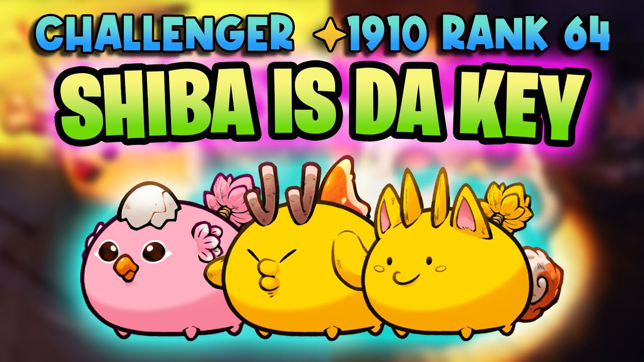 HIGH RANK DOUBLE SHIBA BEAST-BEAST-BIRD BUILD | SEASON 0 | ORIGIN ...