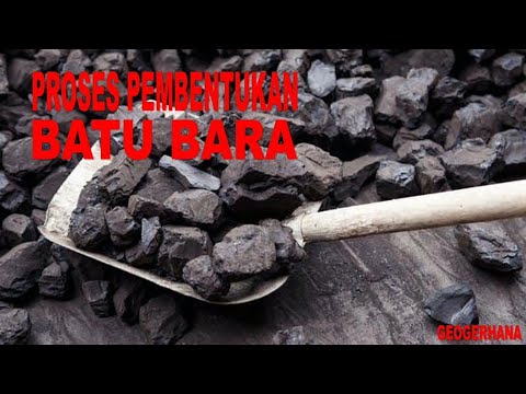 Proses Pembentukan Batu Bara - YouTube