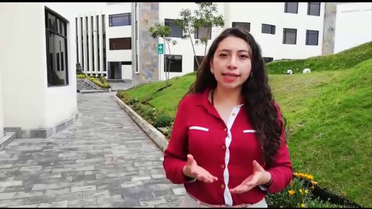 CASOS EMBLEMÁTICOS: CASO GROKSTER - YouTube