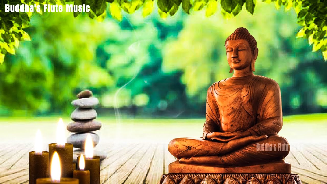 🔴 Relaxing Nature Ambience Meditation, Eliminate Stress And Calm The ...